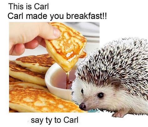 Carl Made You Breakfast Carl The Hedgehog Know Your Meme