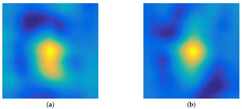 A Group Of The Initial Response Map And The Adjacent Response Map In Download Scientific