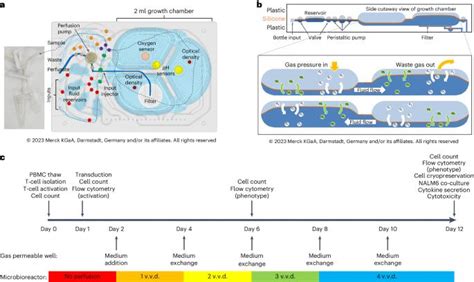 A High Density Microfluidic Bioreactor For The Automated Manufacturing