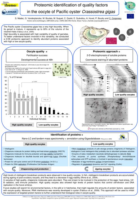 Pdf Proteomic Identification Of Quality Factors In The Oocyte Of