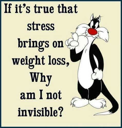 Sylvester Funny Cartoon Quotes Hilarious Sylvester The Cat Quotes