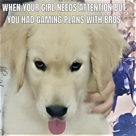 Funny Gamer Meme Balancing Gaming And Relationships