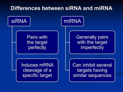 Rna Interference Ppt