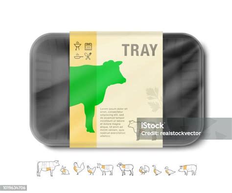 Mockup Template Polystyrene Wadah Baki Dengan Strip Ilustrasi Stok Unduh Gambar Sekarang Istock