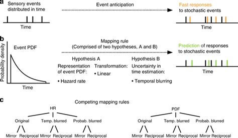 Hypotheses And Models Of Event Anticipation A Event Anticipation Download Scientific Diagram