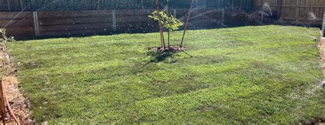 Gallery Mansfield Irrigation