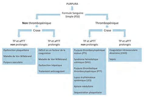 Classification Des Purpuras En Fonction Du Nombre De Plaquettes Et De