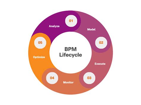 Business Process Management Lifecycle Brix Baselallschwil