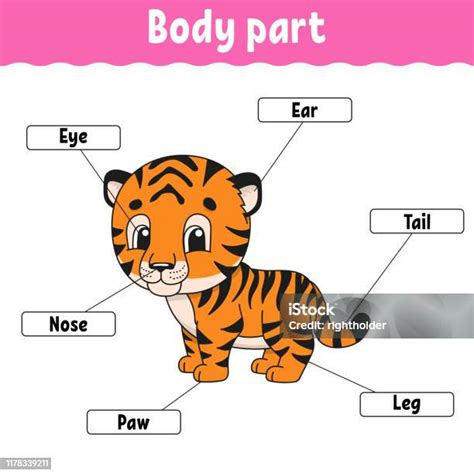 본체 부분 단어를 학습 교육 개발 워크 시트 영어 공부를 위한 활동 페이지 어린이를위한 게임 재미있는 캐릭터 격리된 벡터 그림입니다 만화 스타일입니다 개념에 대한 스톡 벡터