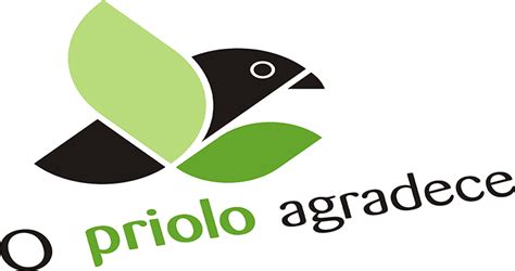 Anabela Isidoro Revela Que Cerca De Metade Das Empresas Aderentes à