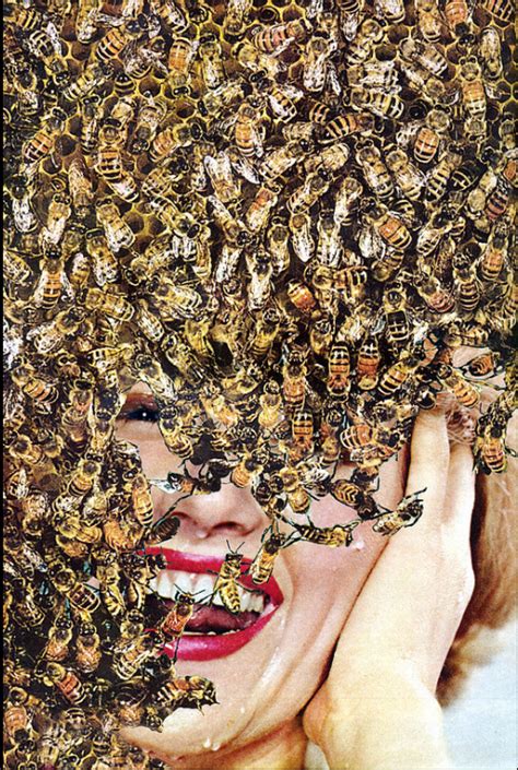 Pin By Elizabeth On Queen Bees Art In 2025 Bee Art Surreal Collage