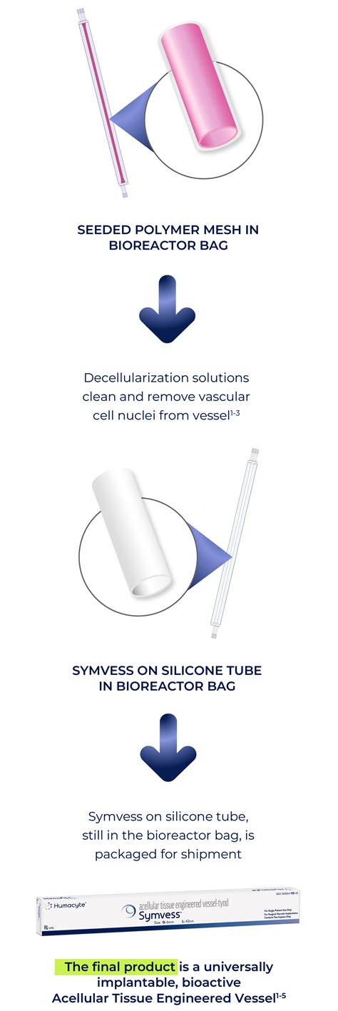 Bioengineering Process Symvess™ Acellular Tissue Engineered Vessel Tyod