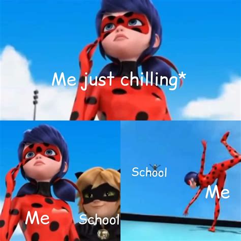 Miraculous Ladybug Meme Miraculous Ladybug Memes Miraculous Ladybug