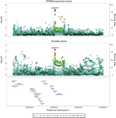 Locuszoom Plots Illustrating Evidence Of Genetic Colocalization Between