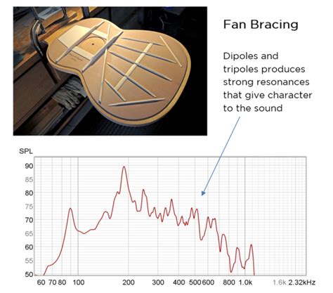 Iulius Guitars T Fan Bracing