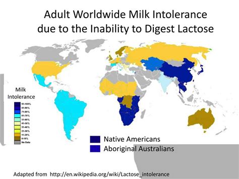 Lactose Intolerance Map Of The World At Janet Bryson Blog
