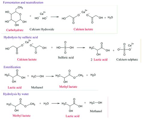 Scheme 1 Fermentation Procedure For Obtaining La Download