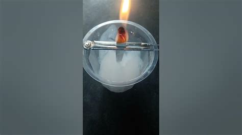 Simpl Science Experiments Shortvideo Trending Viral Youtube