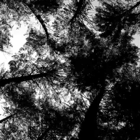 ‎stilts Feat Laura Swankey And Michael Malis Single Album By Elisa Thorn Apple Music