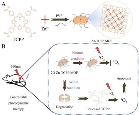 Schematic Showing The 2d Zn Tcpp Mof For Controllable Pdt A A Download Scientific Diagram