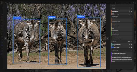 State Of The Art Object Detection With Yolo Nas And Fiftyone By Jacob Marks Ph D Voxel51