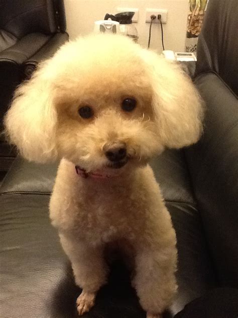 南風寄語 Dns And Bind 一