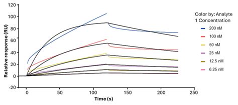 Gamma Proteins Human Fcgriib Cd32b Protein