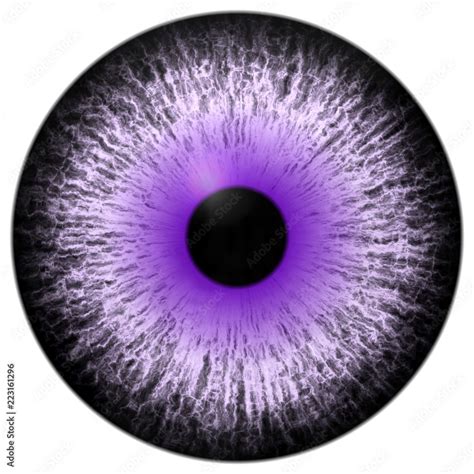 Beautiful Purple Eyes