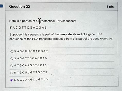 solved question 22 1 pts here is a portion of a hypothetical dna