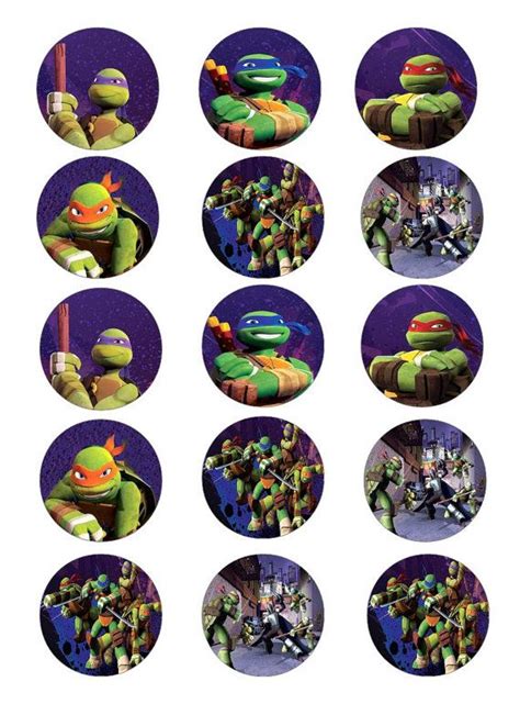 Teenage Mutant Ninja Turtle Edible Image Ninja Turtle Cake Topper