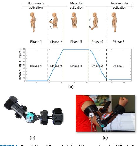 Figure 1 From A Fast Emg Based Algorithm For Upper Limb Motion