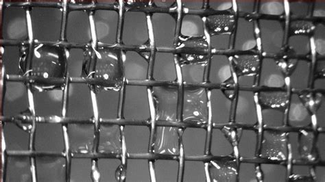 New Mesh Can Turn Polluted Fog Into Clean Water Popular Science