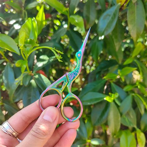 Rainbow Thread Scissors Poppyseed Creative