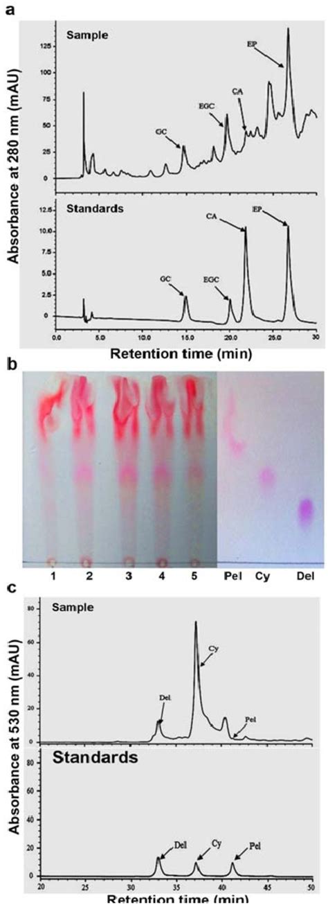 Hplc Profiling Of Flavan 3 Ols And Tlc Analysis Of Proanthocyanidins In