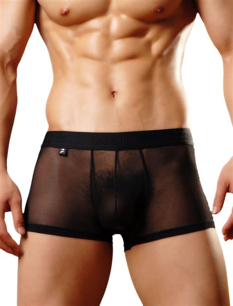 Black Sexy Trunks Tulle Semi Sheer Men Boxer Briefs