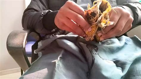 Dick Head Rub With Satin Silky Yellow Suit Of Sister 77 Xhamster