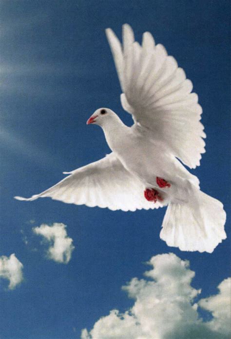 Ray Powell Haskett Funeral Homes Exeter Lucan Seaforth And Zurich Ontario