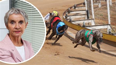 Wagga Greyhound Track Closure Plans Sparks Concern The Daily