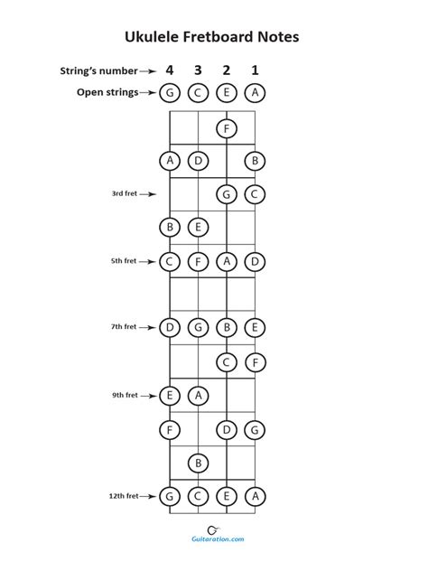Ukulele Fretboard Pdf
