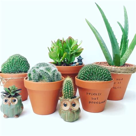 Terra Cotta Love