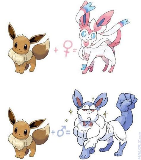 Pokemon Sylveon Evolution All Eevee Evolutions And Eevee Names Tricks