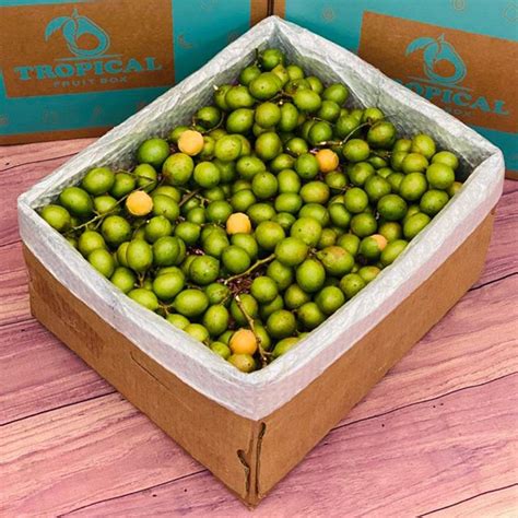 Quenepas Seed