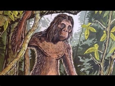 Orang Pendek Evidence Orang Pendek Of Sumatra Bigfoot Base