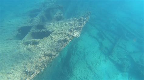 ריף בת גלים טל בת הים אוניות טרופות