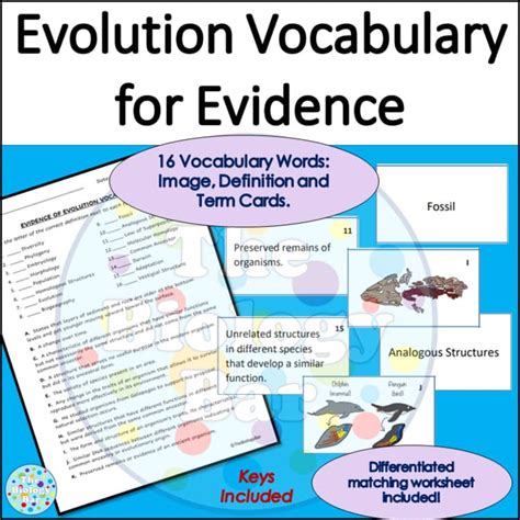 Evolution Vocabulary Cards Evidence Of Evolution Matching Activity