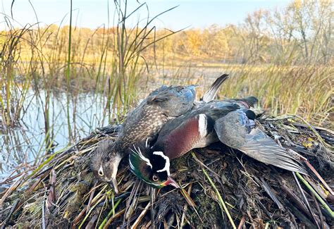 The Best Motion Duck Decoys Field Tested And Reviewed Outdoor Life