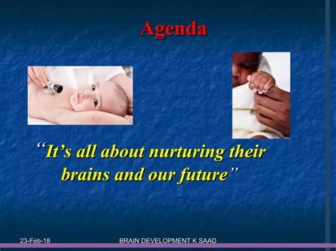 Infant Brain Development Ppt