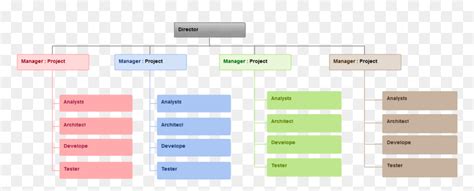 Project Based Organizational Structure Examples Hd Png Download Vhv