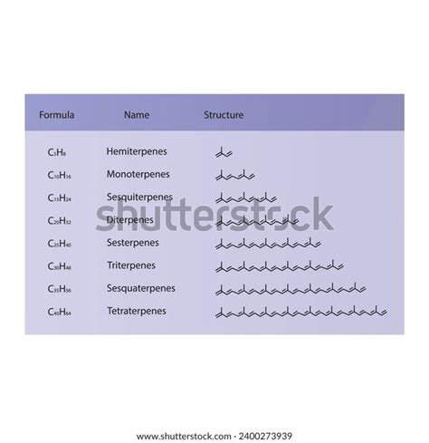 Diagram Terpenes Structure Hemiterpenes Monoterpenes Diterpenes Stock