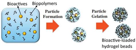 A Comprehensive Review Of Food Hydrogels Principles Formation
